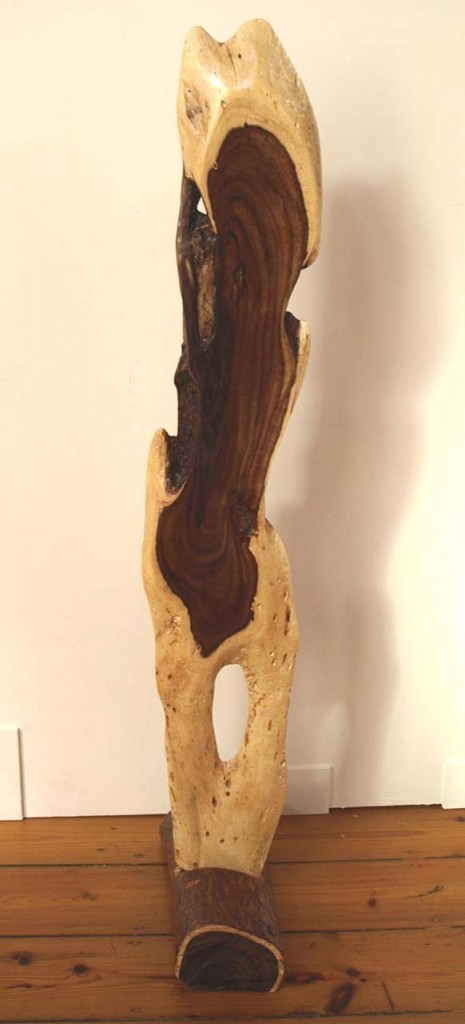 Tjuntjuntjara Punu Project - Buy Aboriginal Art at Japingka Gallery