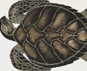 Art in the Torres Strait Islands - Japingka Aboriginal Art Gallery