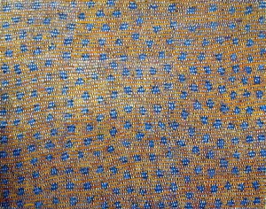 The Pilbara - Yinjaa-Barni Artists - Buy Aboriginal Art Online