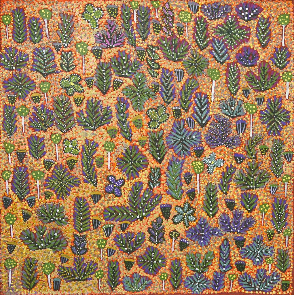 Ampilatwatja Aboriginal Art & Artists - Japingka Gallery
