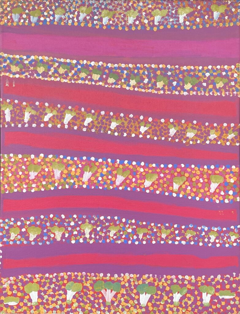 Pink Aboriginal Art Paintings at Japingka Gallery