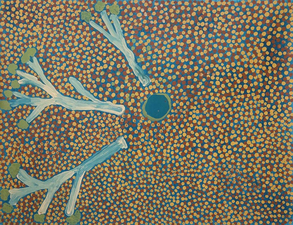 Penny K Lyons - Artist Bio & Artworks - Japingka Gallery