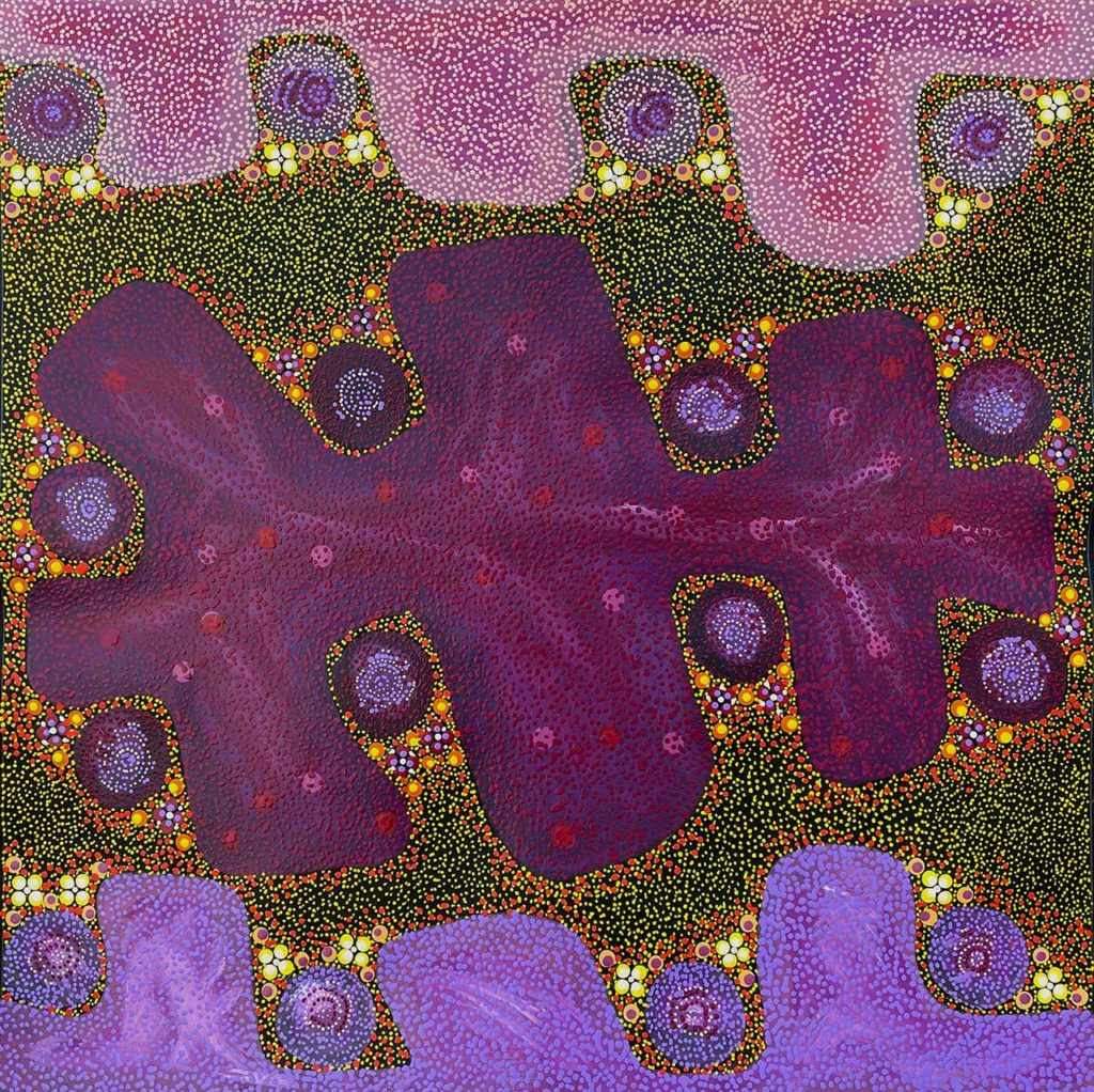 Pink Aboriginal Art Paintings at Japingka Gallery