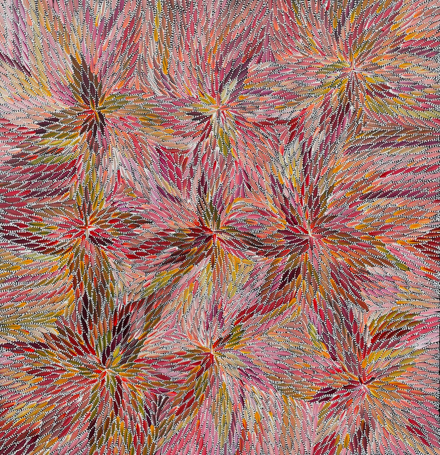 Petyarre Sisters & Bush Medicine Leaves Artists - Japingka