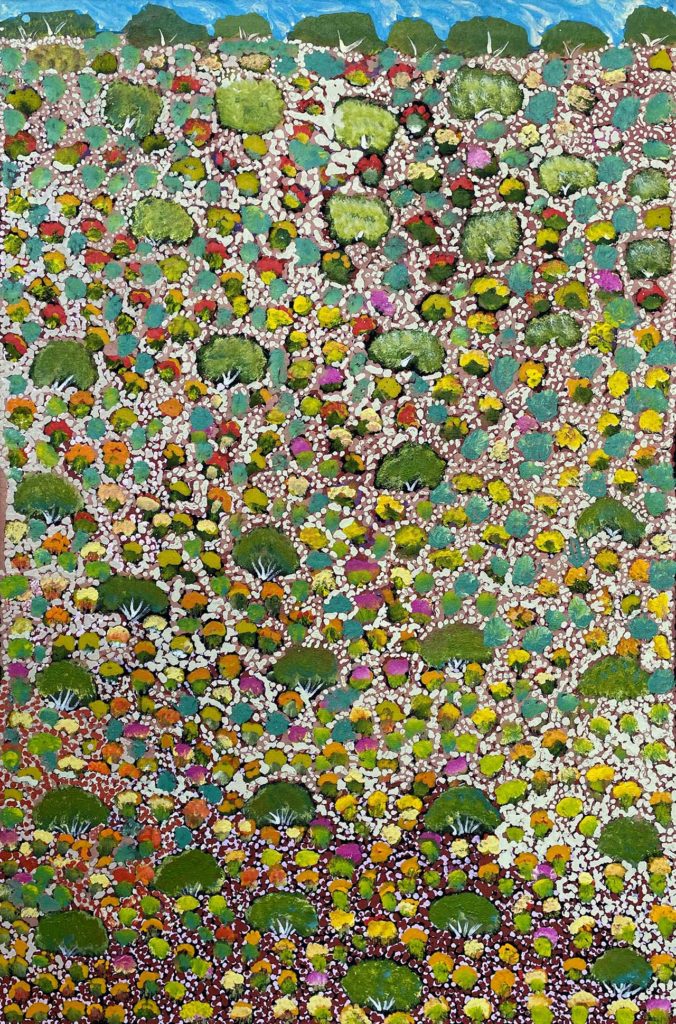 Ada Beasley exhibition - Barkly Arts at Japingka Aboriginal Art