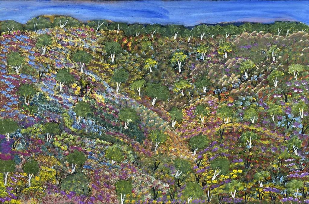 Ada Beasley exhibition - Barkly Arts at Japingka Aboriginal Art