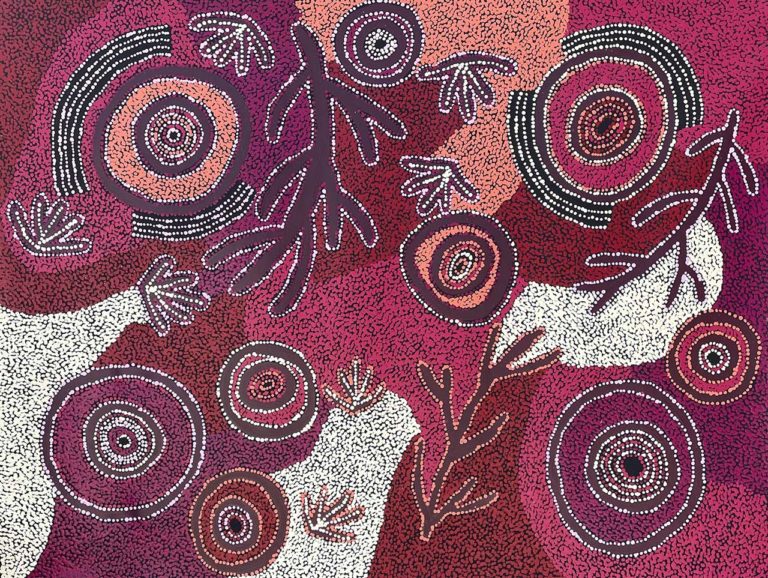 Pink Aboriginal Art Paintings at Japingka Gallery