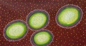 Sonya Edney - Yingarrda Waterholes and Wildflowers - Japingka