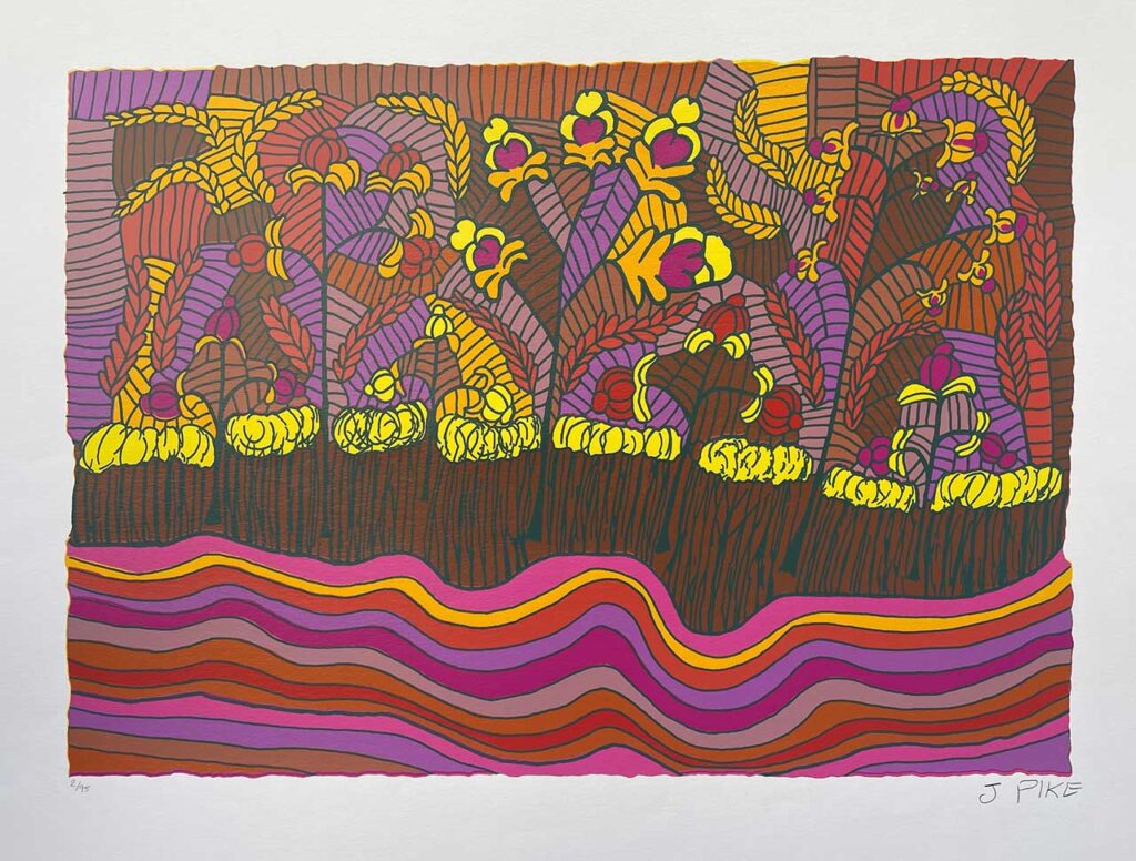 Jimmy Pike - Art of the Great Sandy Desert - Japingka Gallery