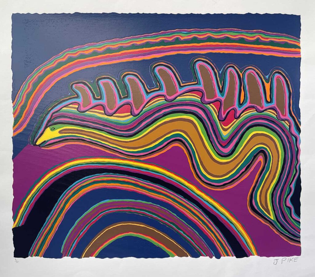 Jimmy Pike - Art of the Great Sandy Desert - Japingka Gallery