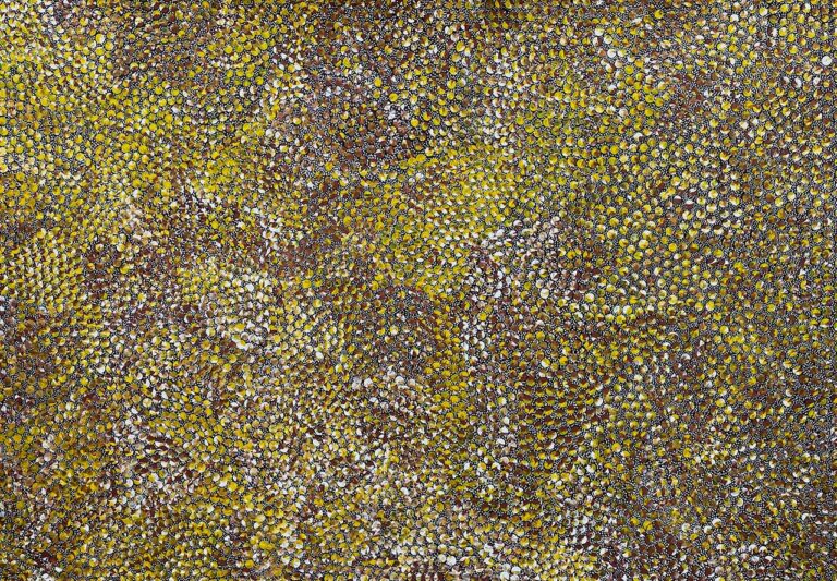 Gold & Yellow Aboriginal Art Paintings at Japingka Gallery