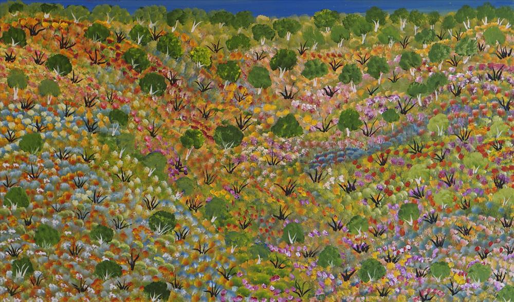 Aboriginal Landscape Paintings - Japingka Aboriginal Art Gallery