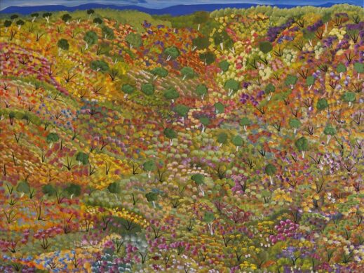 Aboriginal Landscape Paintings - Japingka Aboriginal Art Gallery