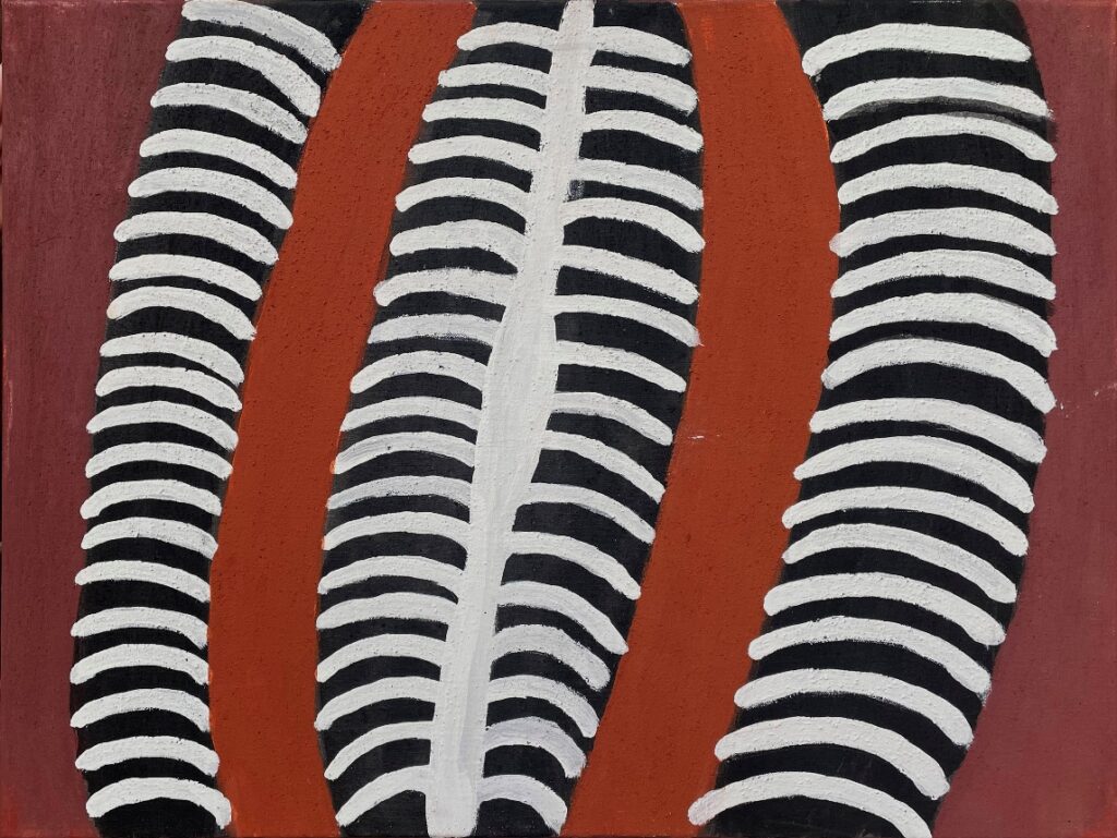 Purnululu - Warmun Artists exhibition - Aboriginal Art at Japingka
