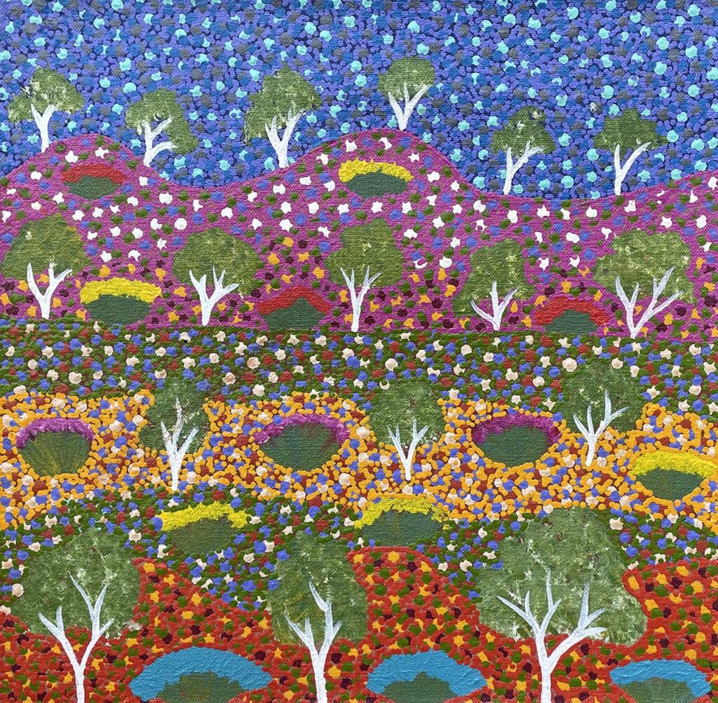 Aboriginal Landscape Paintings - Japingka Aboriginal Art Gallery
