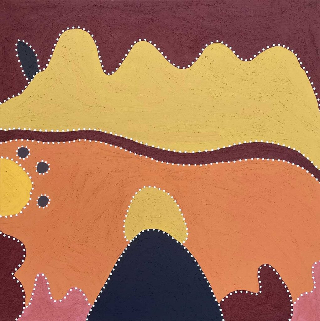 Ochre, Earth & Brown Aboriginal Art Paintings at Japingka Gallery