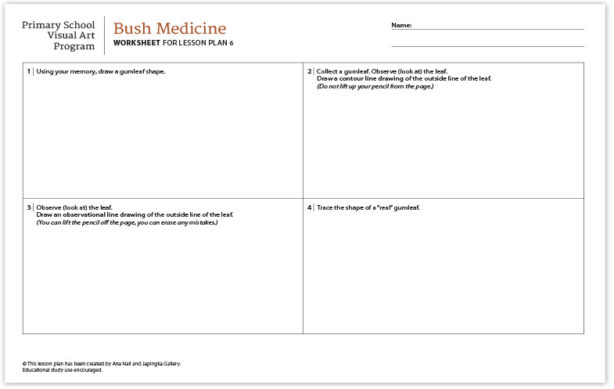 Bush Medicine Lesson 6 - Japingka Aboriginal Art Gallery