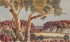Hermannsburg Watercolour Aboriginal Art & Artists - Japingka Gallery