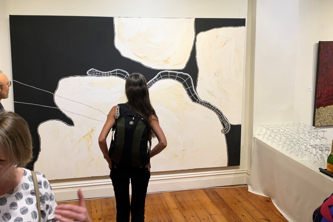 Timo Hogan Lake Baker Masterpiece - Japingka Aboriginal Art Gallery