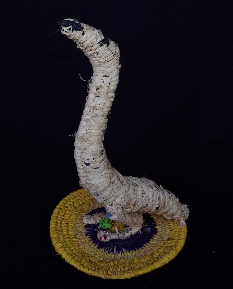 Tjanpi Desert Weavers - Aboriginal Art Exhibition - Japingka Gallery