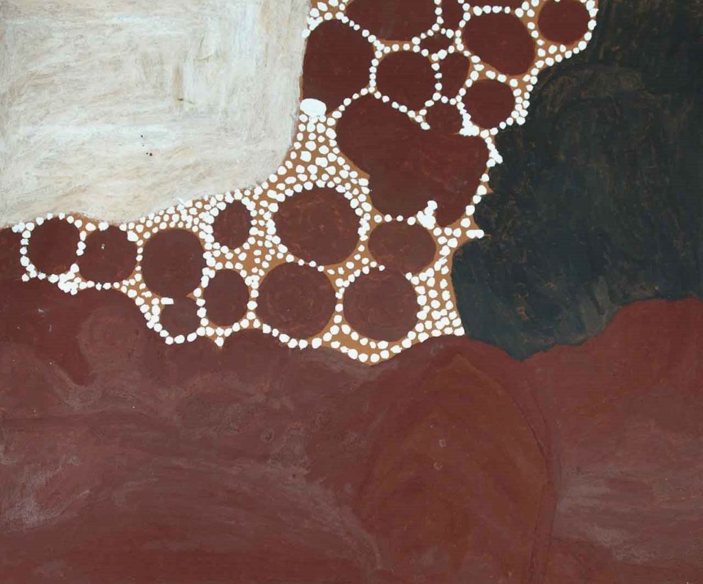 Ochre, Earth & Brown Aboriginal Art Paintings at Japingka Gallery