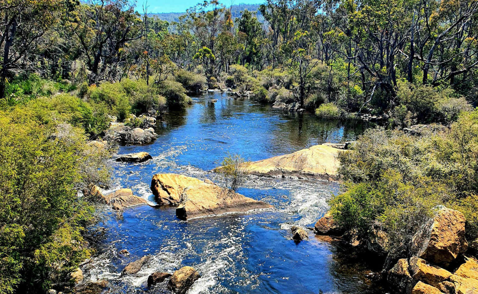 Yondee Shane Hansen - Artist Profile - Japingka Gallery